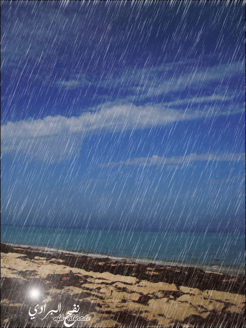 Amazing Rain Photography