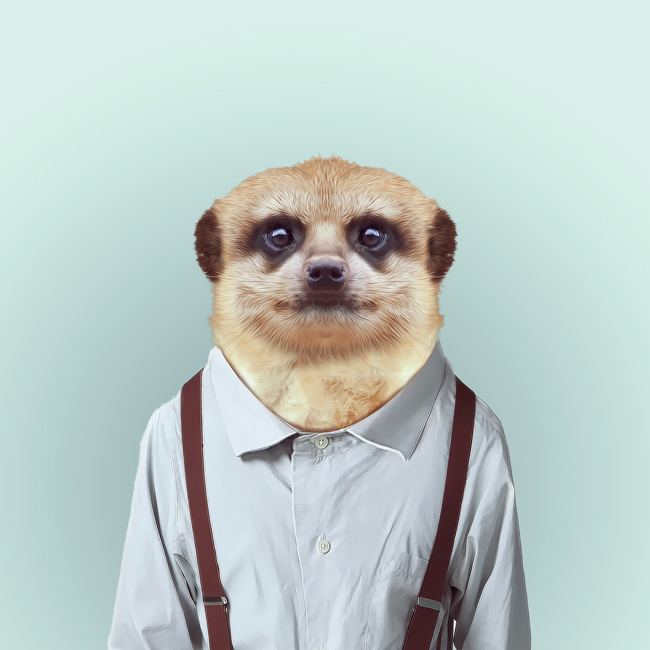 Zoo Portraits - Animals Dressed Like Humans