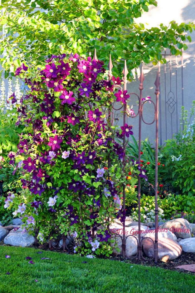 10 Unexpected Ways to Make Your Own Garden Trellis - Top Dreamer